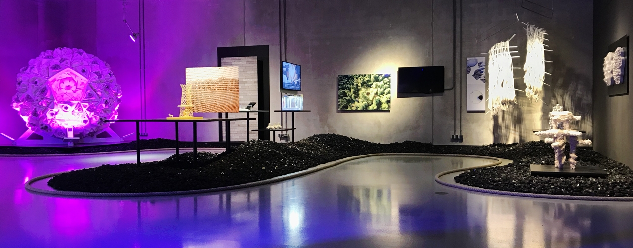 Morrie&Me | Exhibition: Nature - collaborations in design